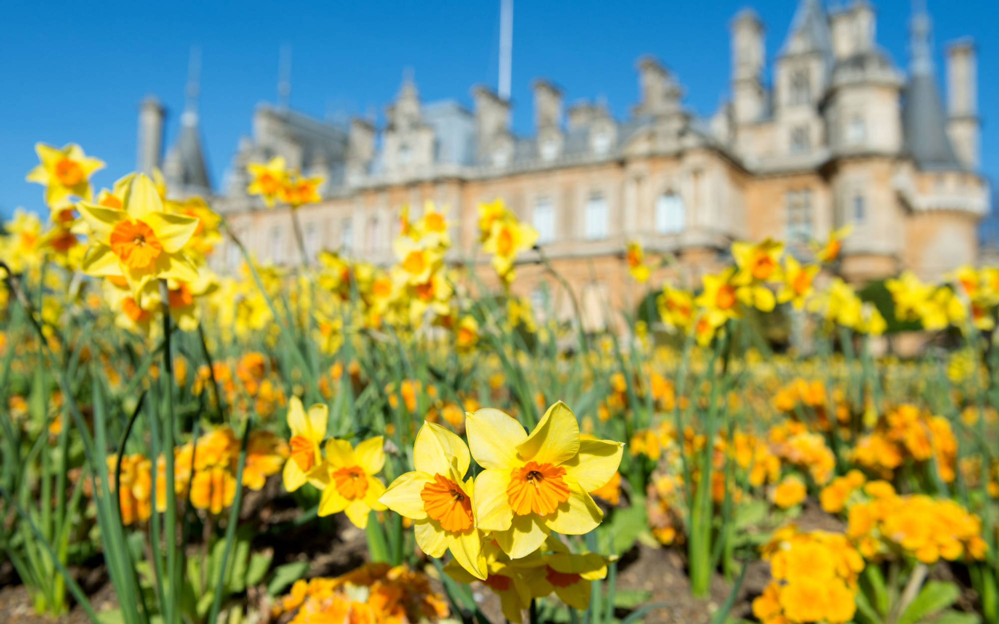 Grounds – Waddesdon Manor