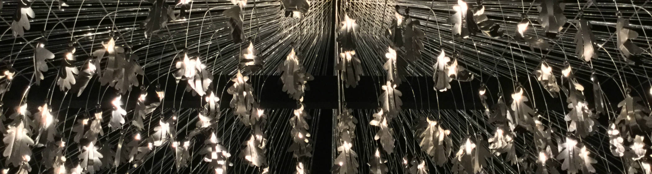 From Little Acorns, Mighty Oak Trees Grow – Waddesdon Manor