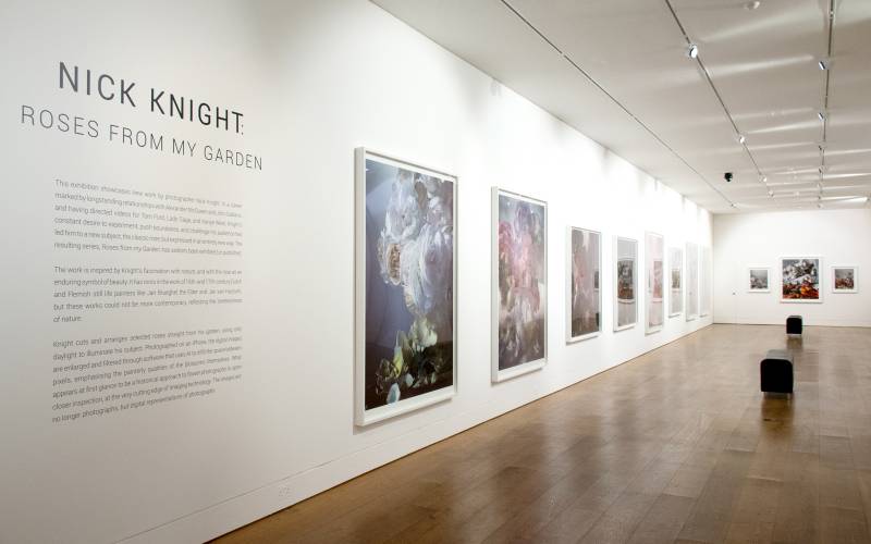 Nick Knight: Roses from my Garden – Waddesdon Manor