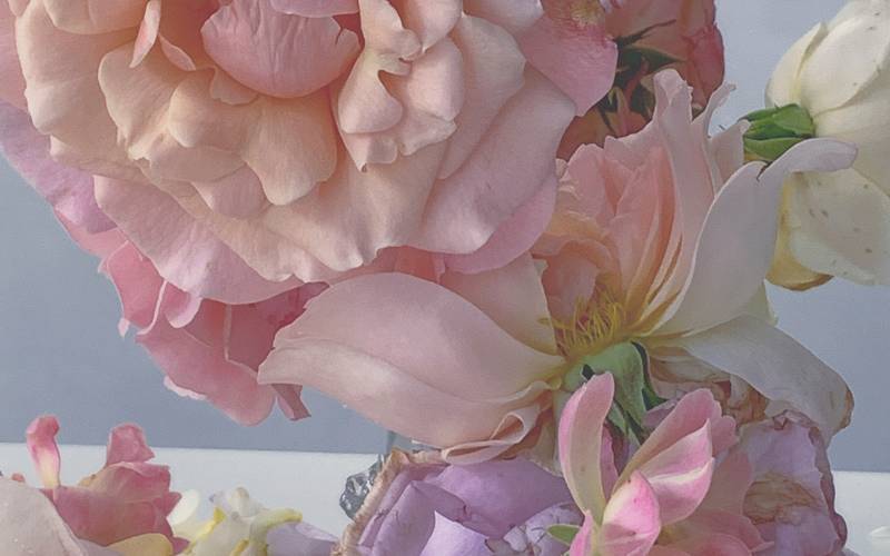 Nick Knight: Roses from my Garden – Waddesdon Manor
